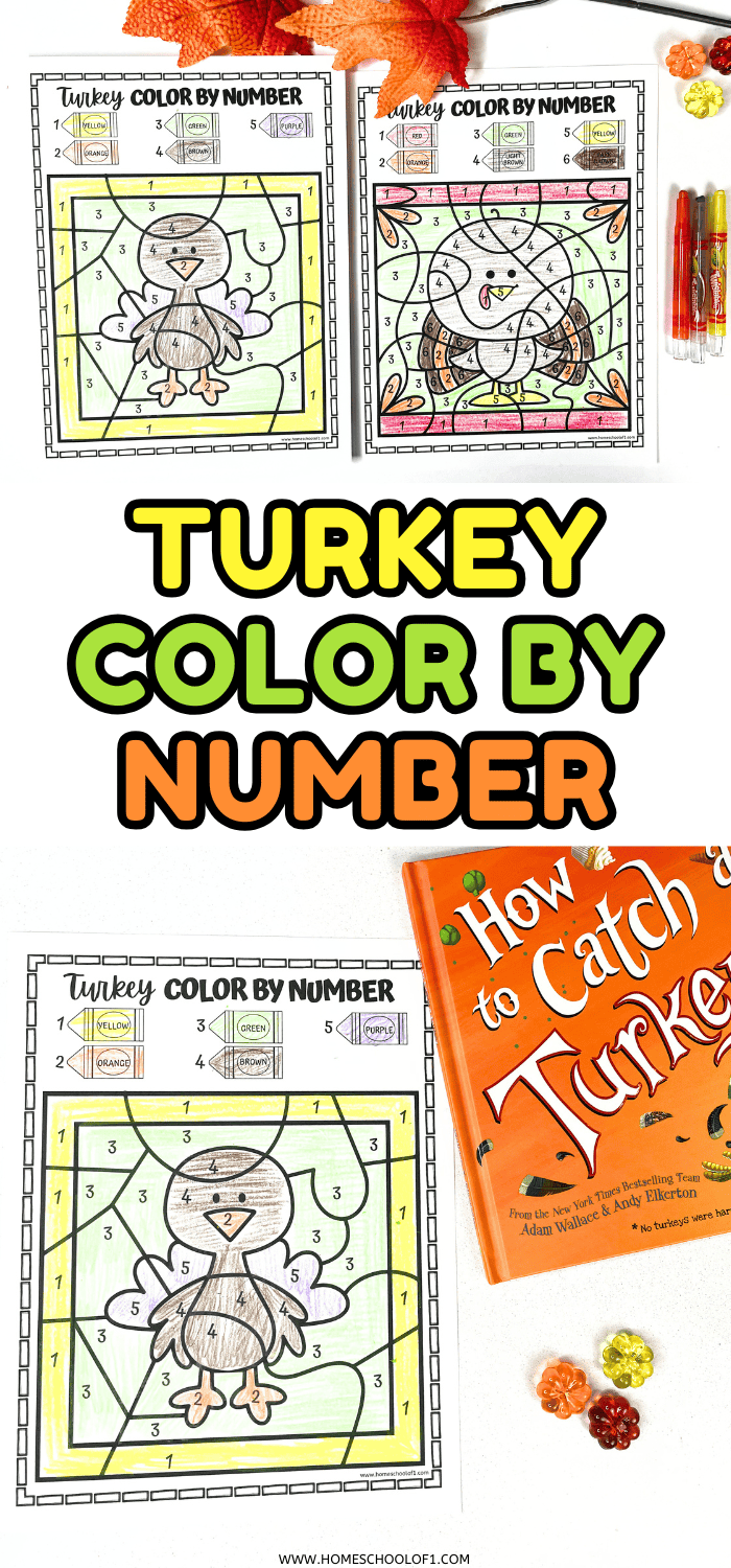 Turkey Color By Number Free Printable