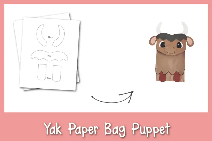 13 Letter Y Activities for Preschool