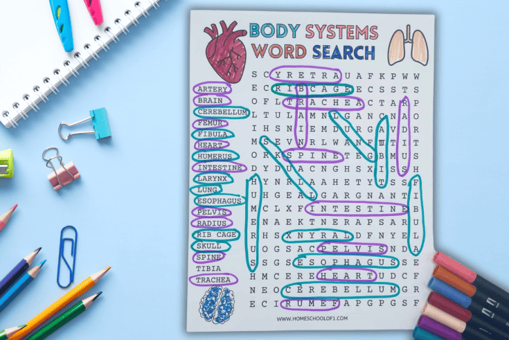 Free Printable Anatomy Worksheets