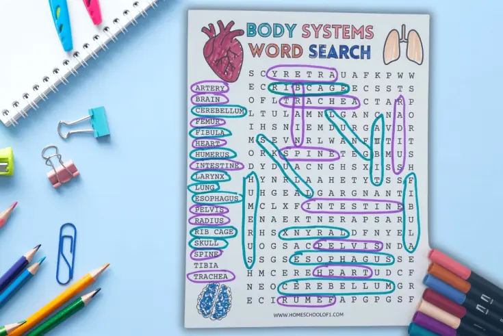 Human Anatomy Worksheets for Kids