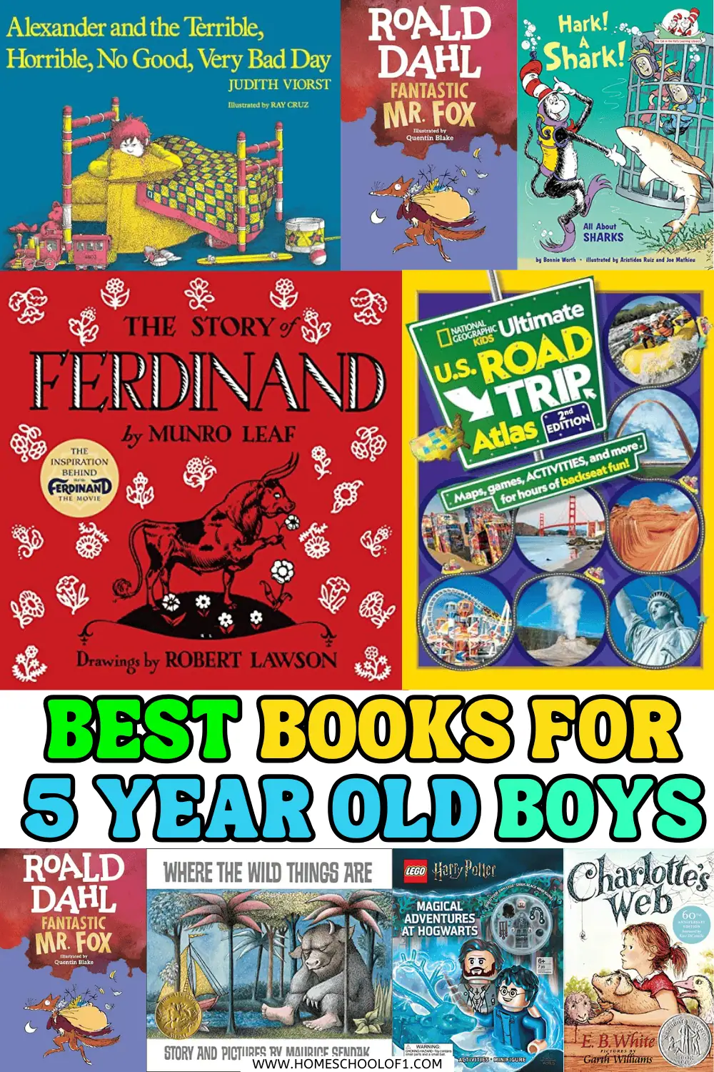 19 Best Books for 5 Year Old Boys in 2025