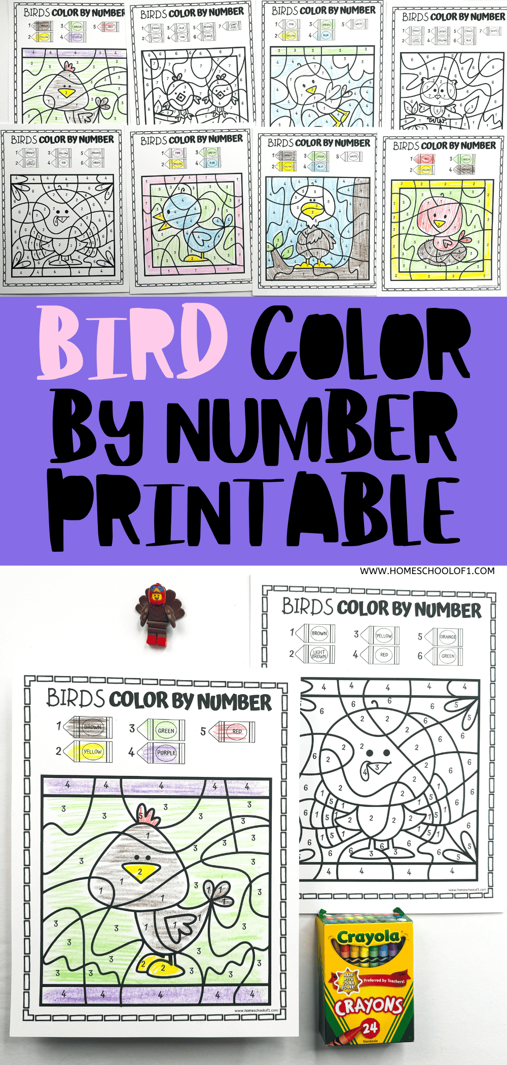 Free Bird Color by Number Printables for Preschoolers