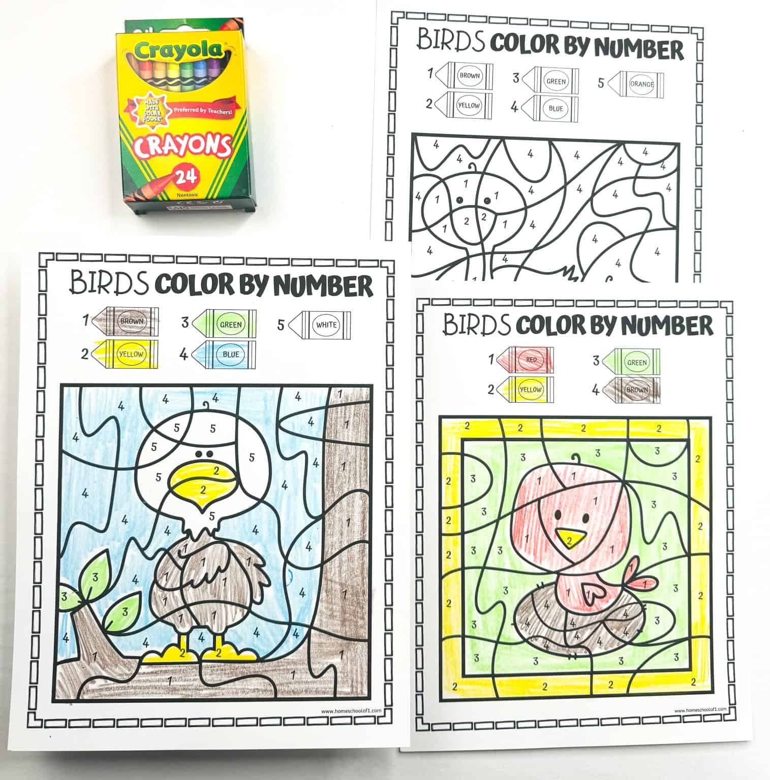 Free Bird Color by Number Printables for Preschoolers