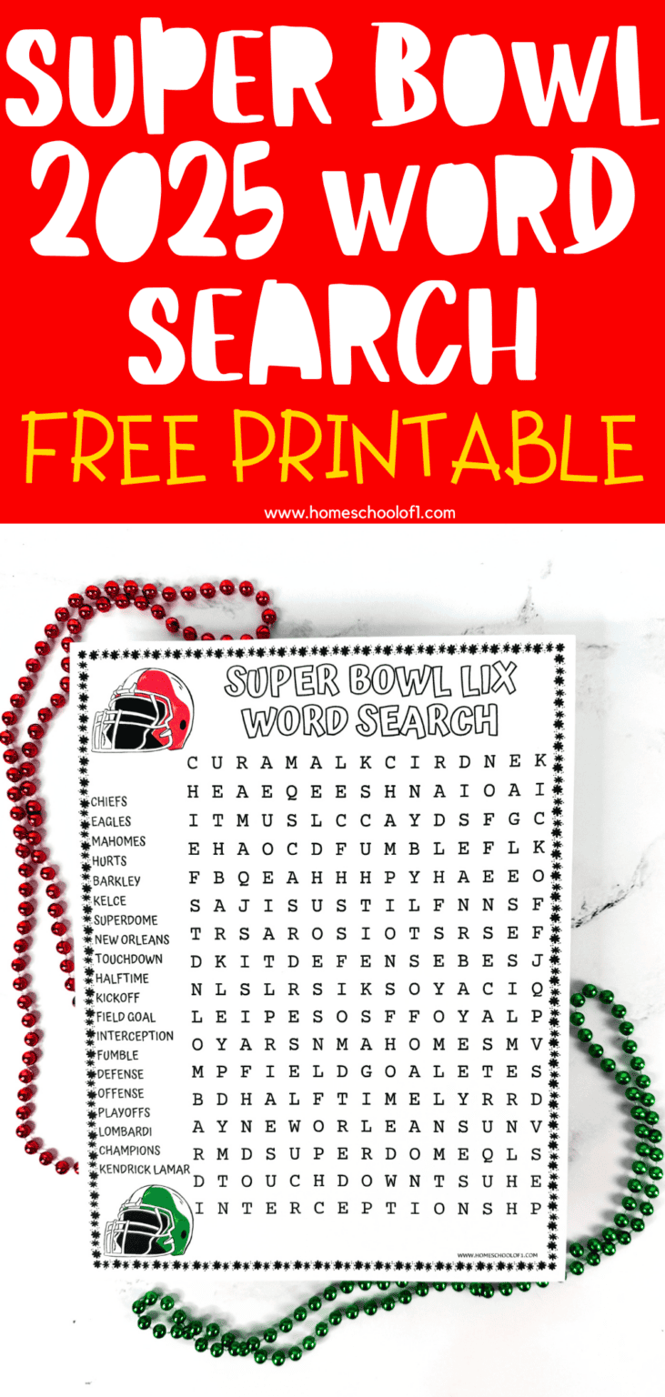 Super Bowl LIX Word Search (Free Printable)