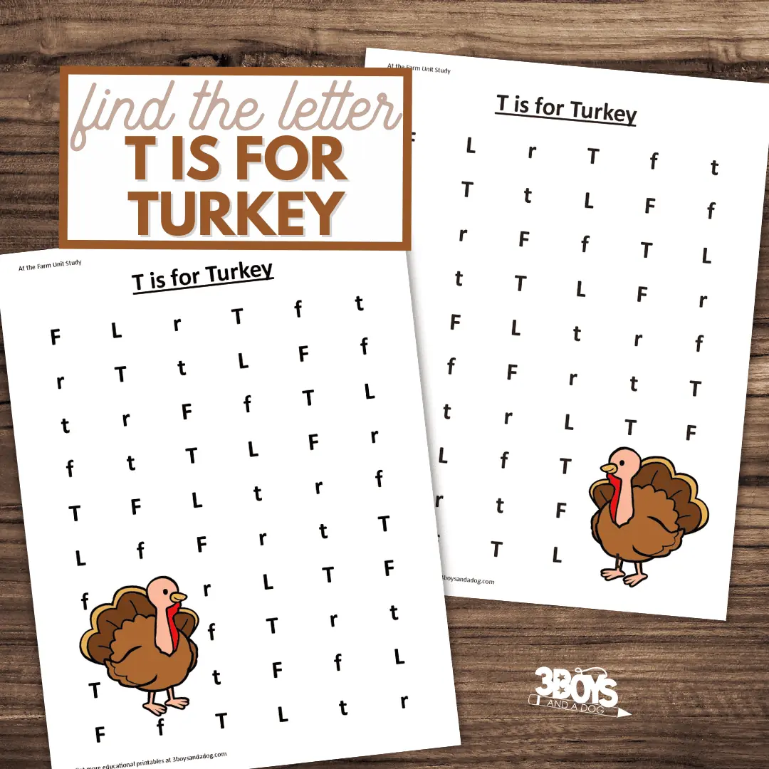 25 Terrific Letter T Activities for Preschoolers