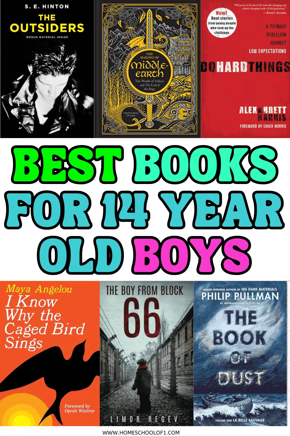 17 Best Books for 14 Year Old Boys They'll Actually Read