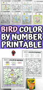 Free Bird Color by Number Printables for Preschoolers