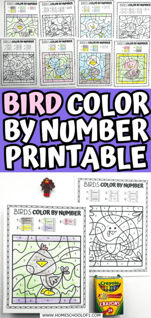 Free Bird Color by Number Printables for Preschoolers