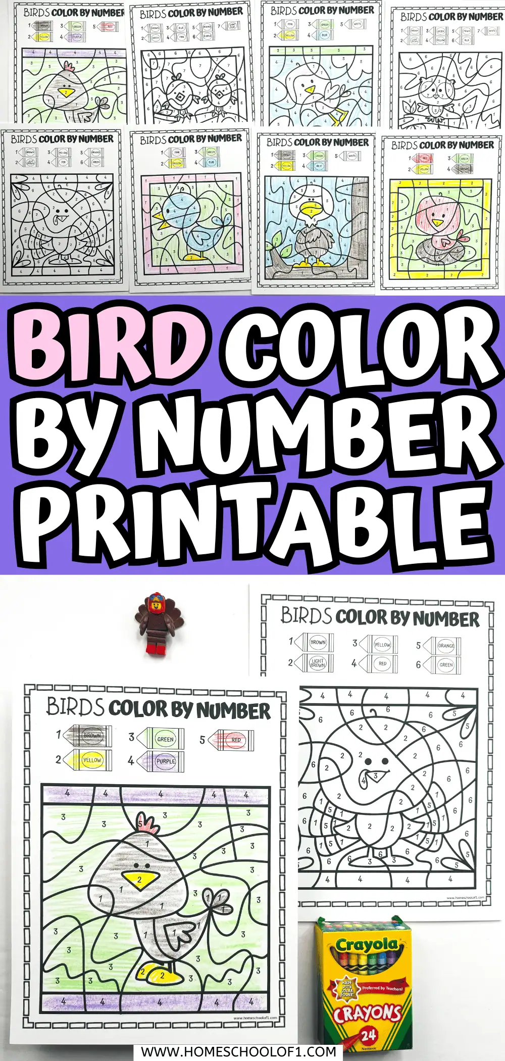 Free Bird Color by Number Printables for Preschoolers