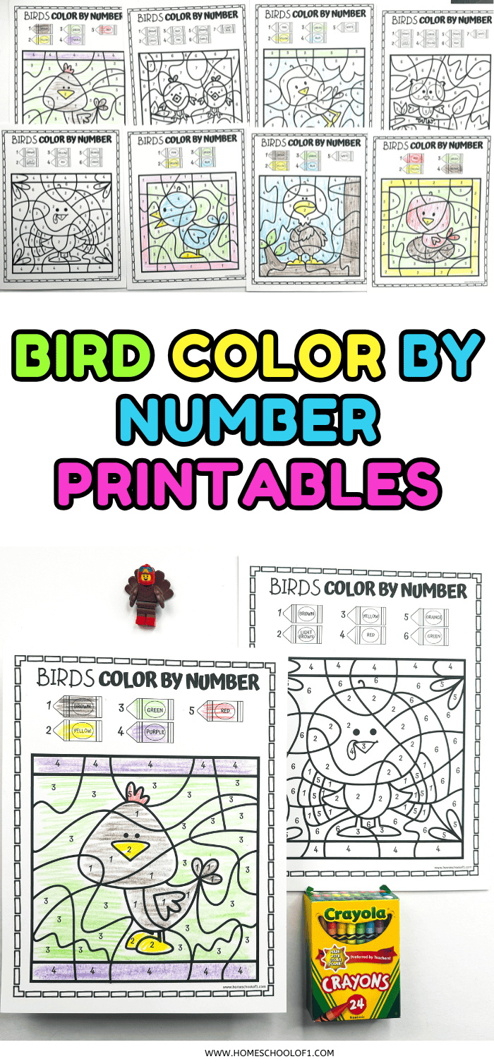 Free Bird Color by Number Printables for Preschoolers