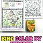 Free Bird Color by Number Printables for Preschoolers