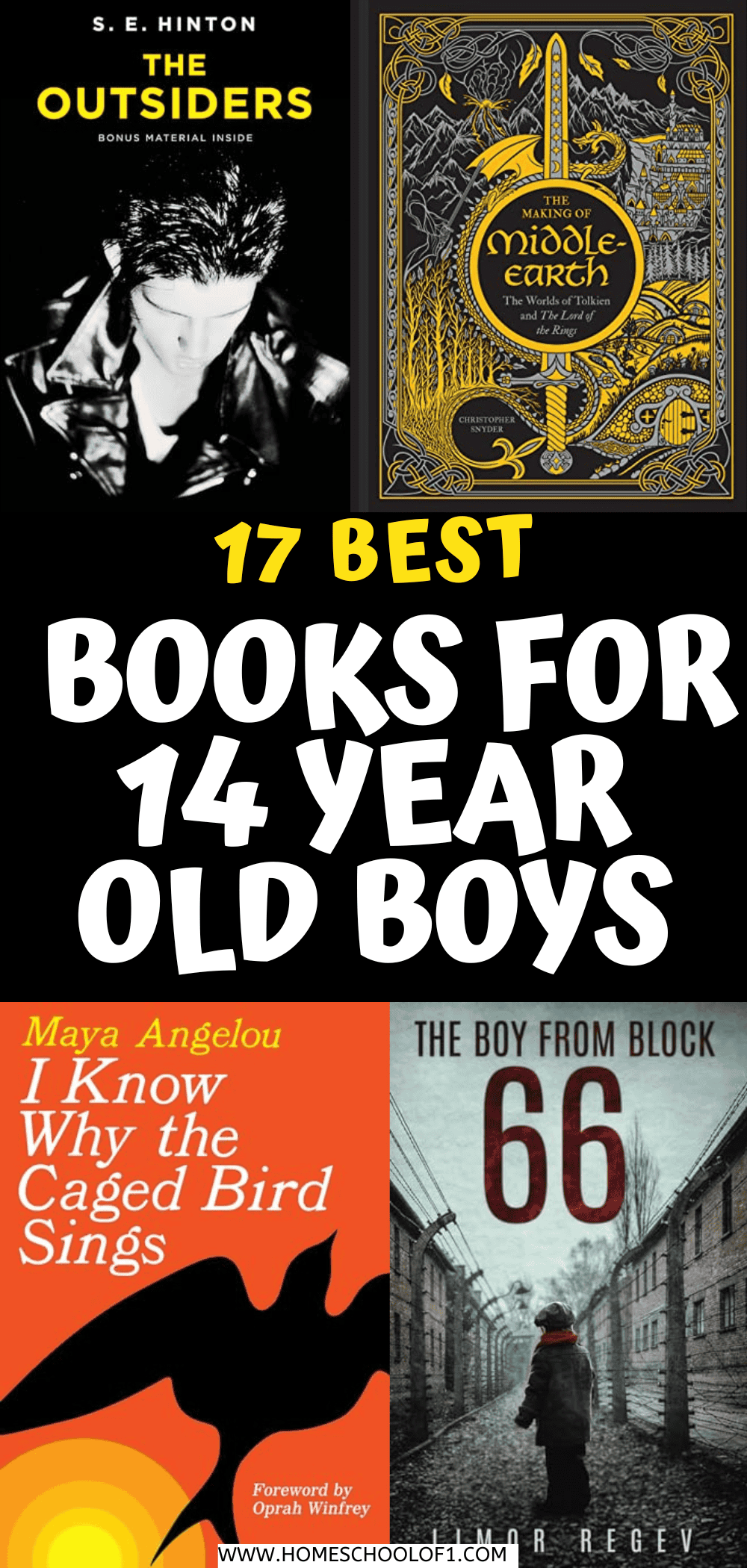 17 Best Books for 14 Year Old Boys They'll Actually Read