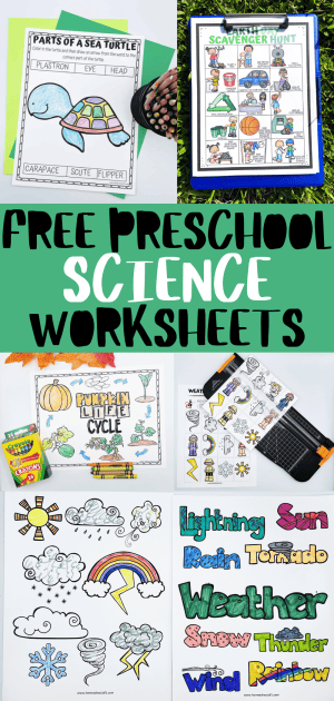 41+ Free Preschool Science Worksheets