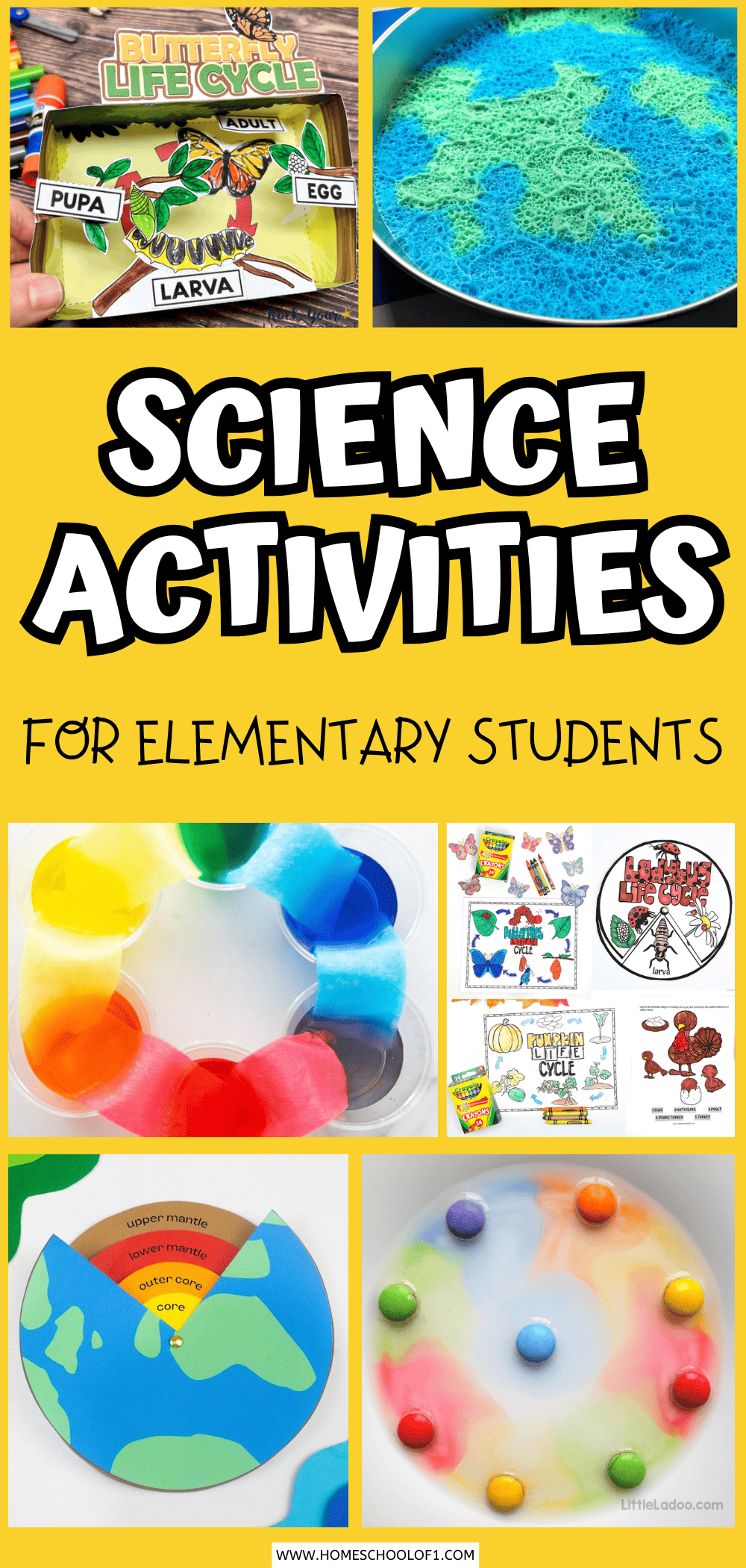 Free Science Activities for Elementary Students