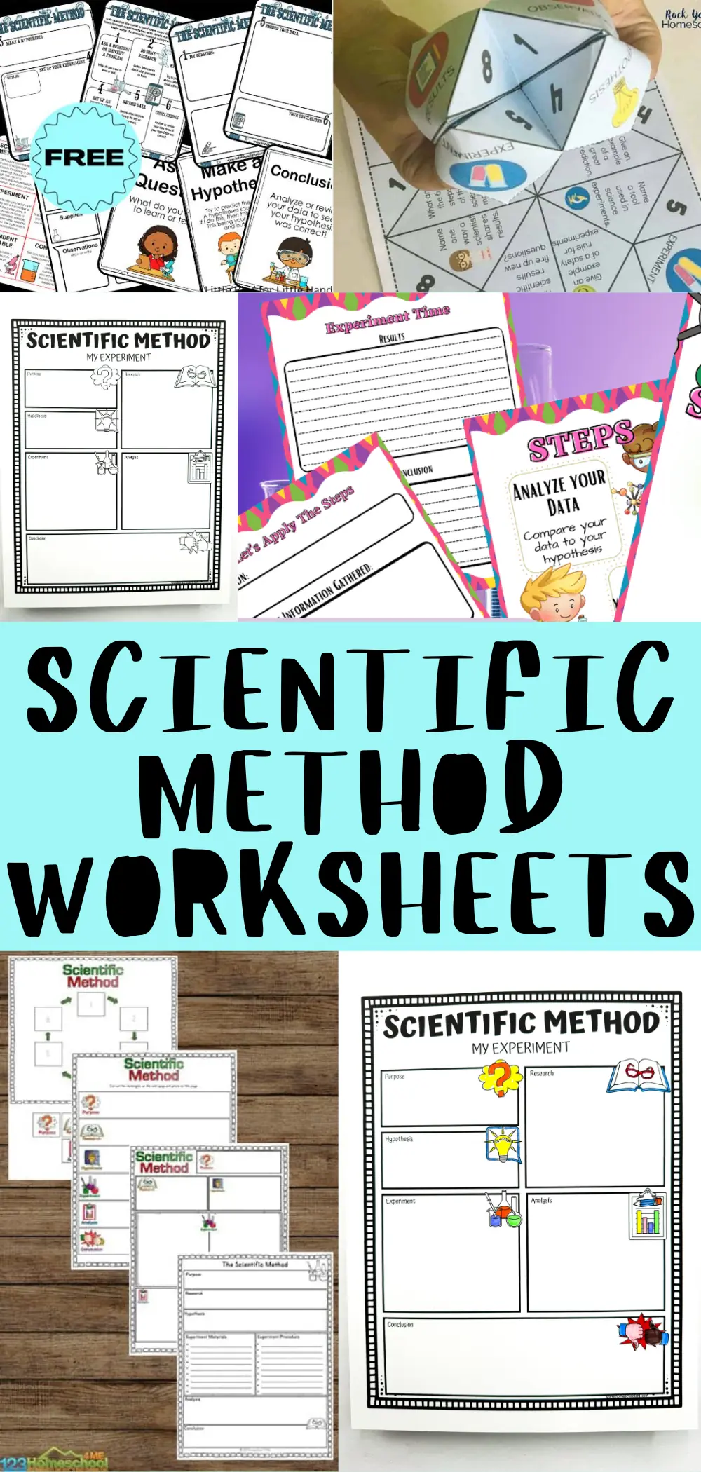 Free Scientific Method Worksheets