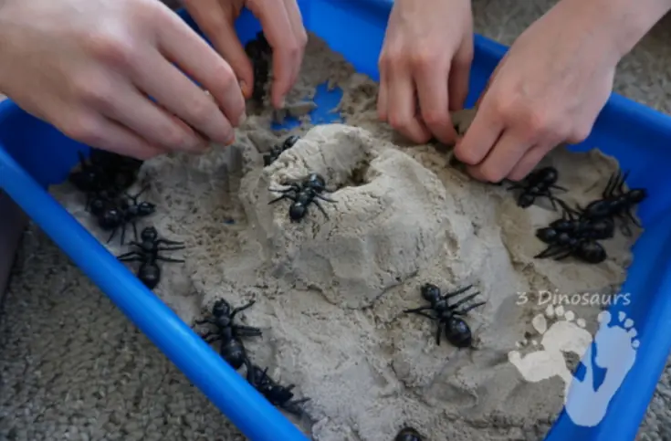 12 Free Ant Activities for Kindergarten