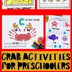 17 Crab Activities for Preschoolers
