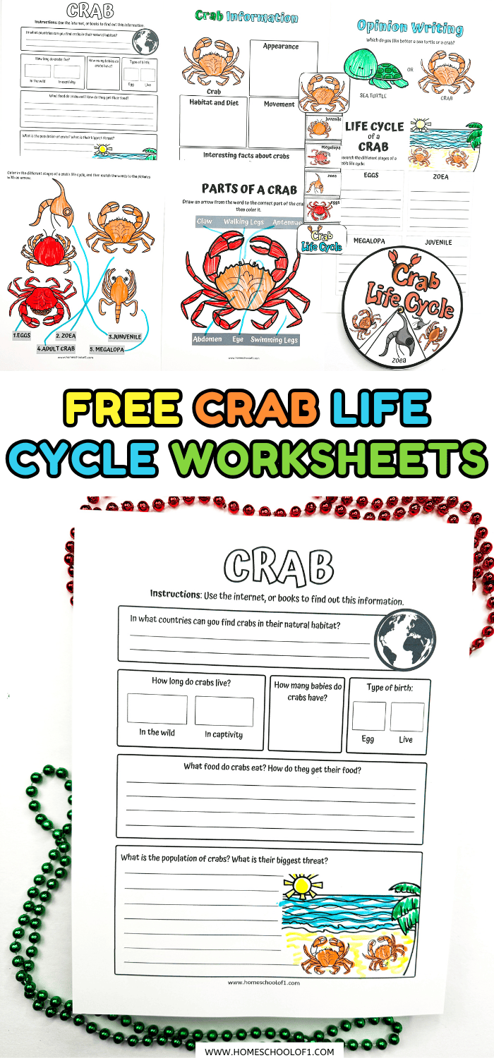 Free Crab Life Cycle Worksheets for Kids