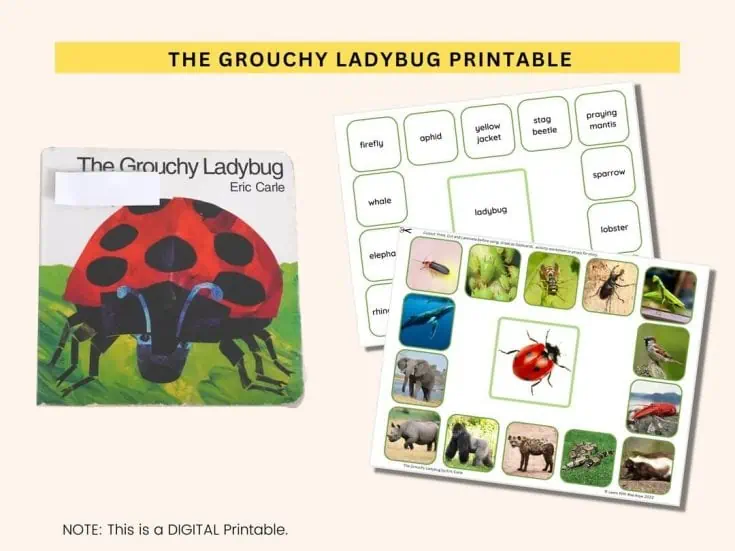 The Grouchy Ladybug Activities and Crafts