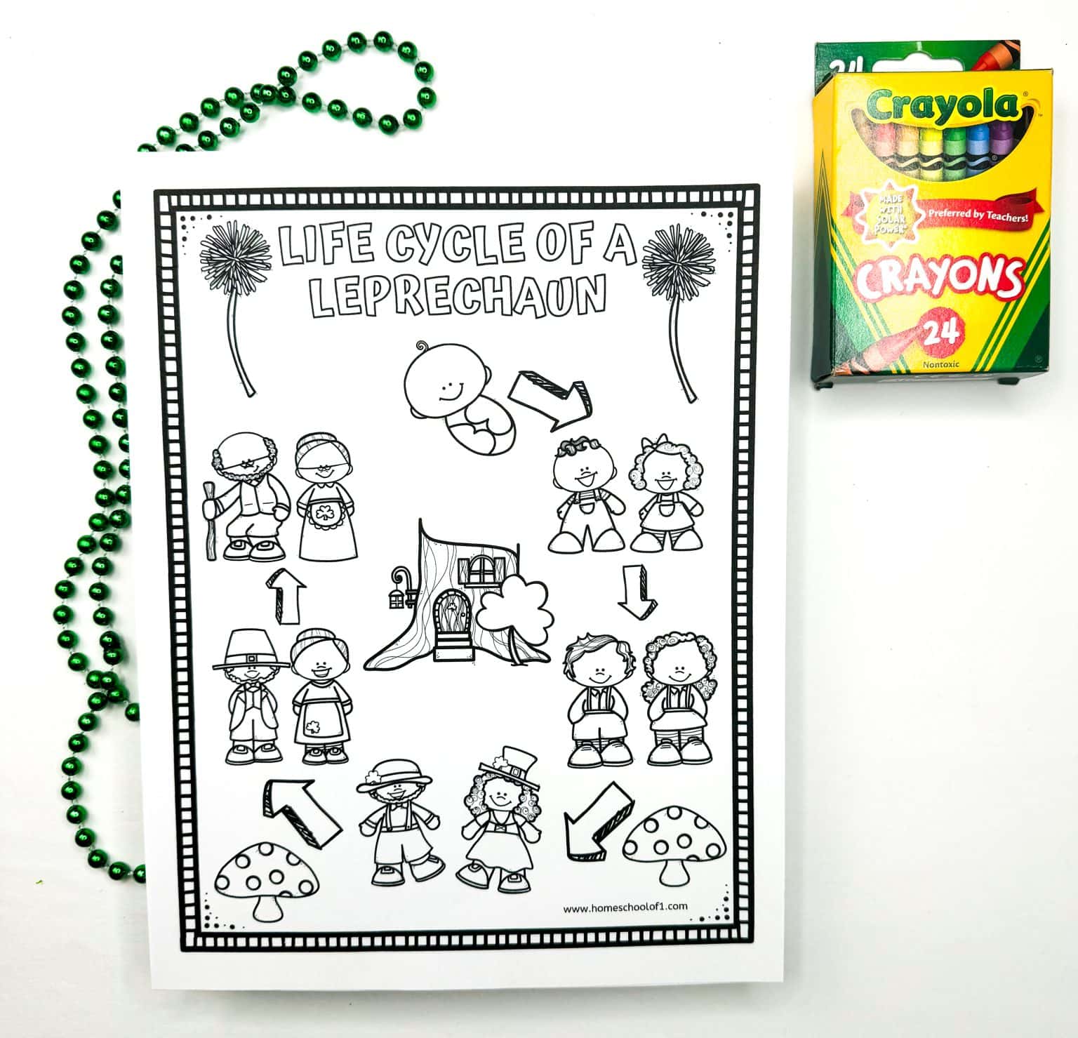 Life Cycle of a Leprechaun Coloring Page (Free Printable)