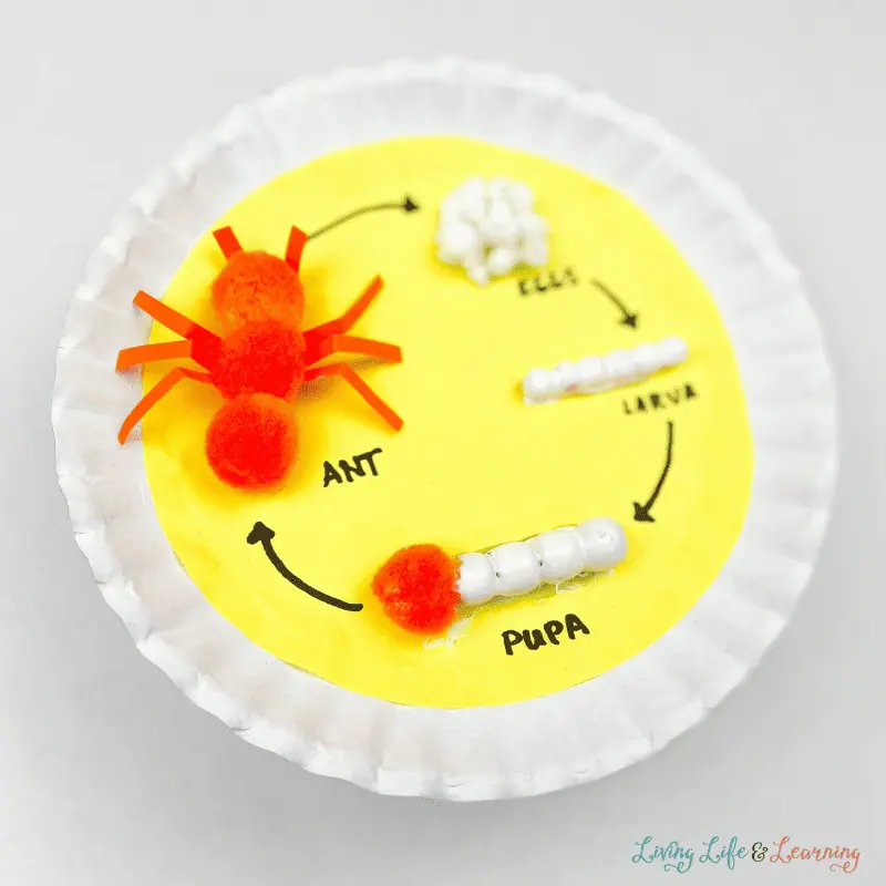 12 Free Ant Activities for Kindergarten