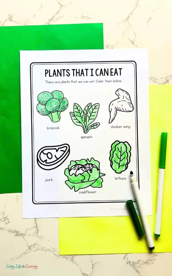 22 Free Plant Worksheets for Kids