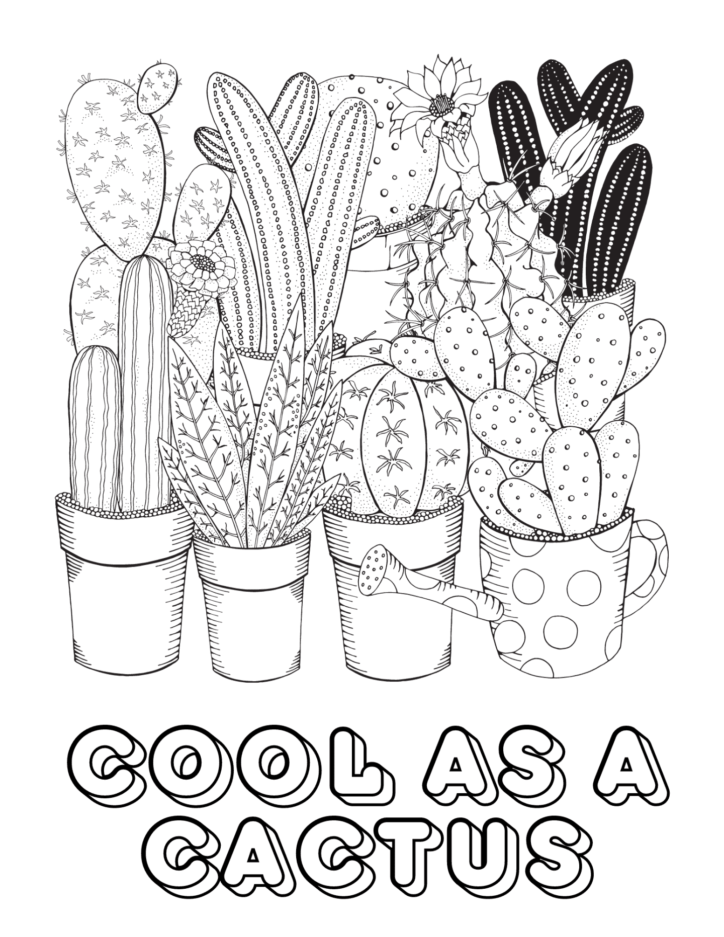 22 Free Plant Worksheets for Kids