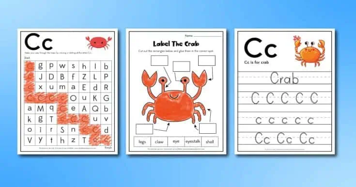 17 Crab Activities for Preschoolers
