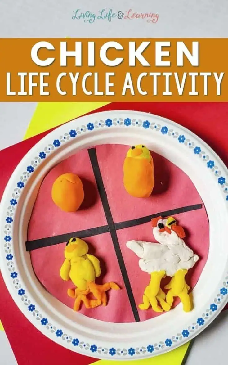 16 Chicken Activities for Preschoolers