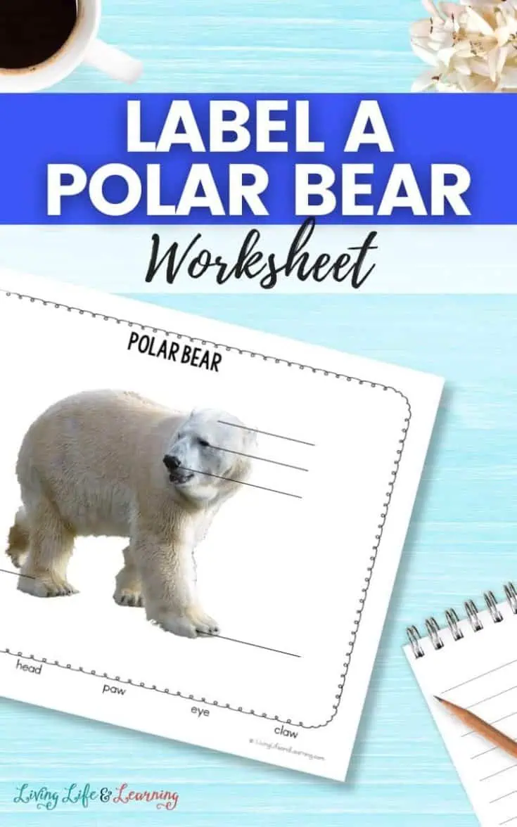15 Free Printable Polar Bear Activities
