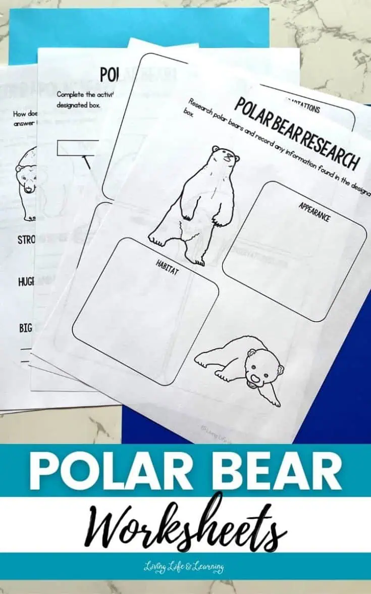 15 Free Printable Polar Bear Activities