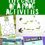 Engaging Life Cycle of a Frog Activities for Kids