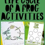 Engaging Life Cycle of a Frog Activities for Kids