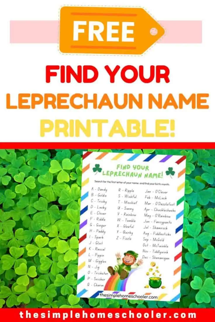 31 Fun St Patrick's Day Homeschool Activities
