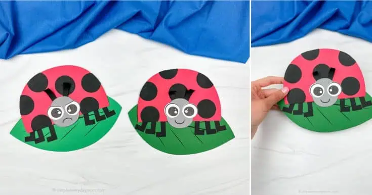 The Grouchy Ladybug Activities and Crafts