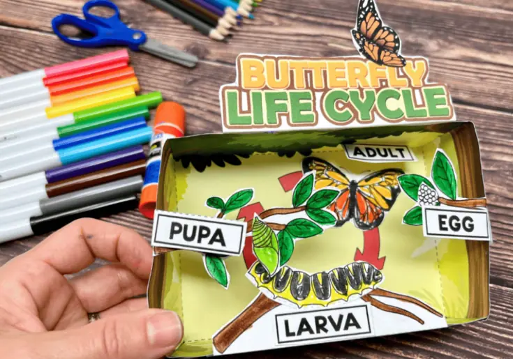 19 Butterfly Activities for Elementary Students