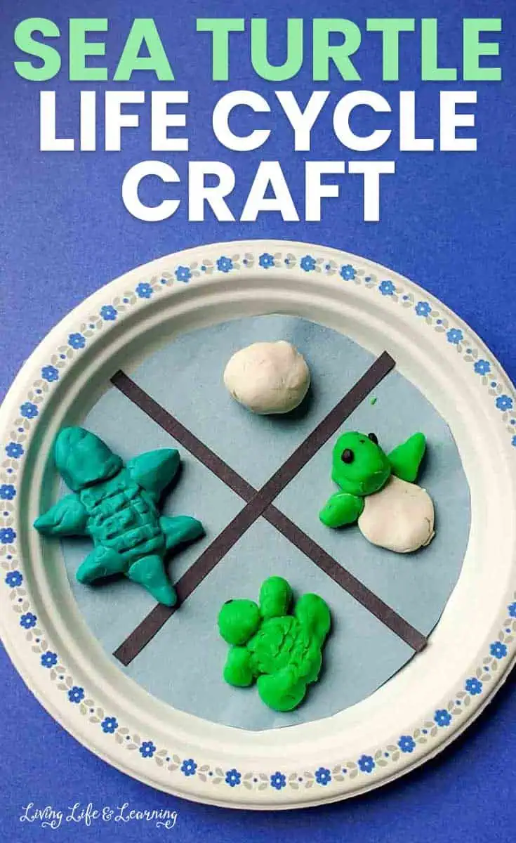 Turtle Activities for Preschoolers with Worksheets and Crafts