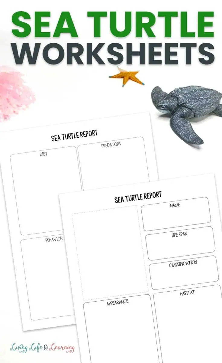 Turtle Activities for Preschoolers with Worksheets and Crafts