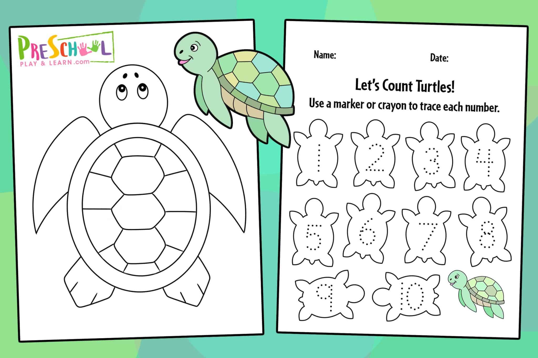 Turtle Activities for Preschoolers with Worksheets and Crafts