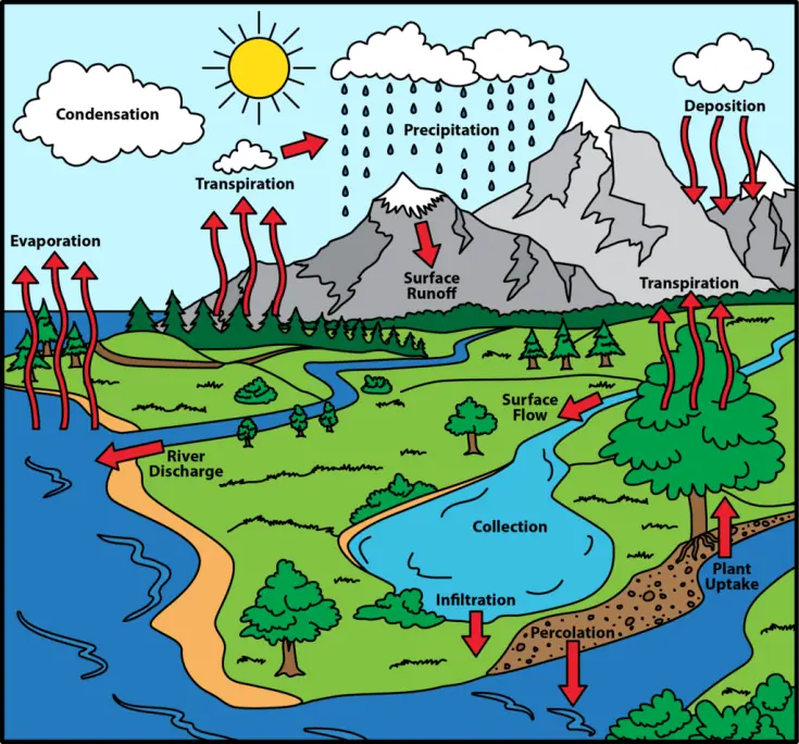 Fun Water Cycle Activities for Kids