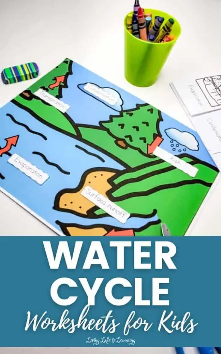 Fun Water Cycle Activities for Kids