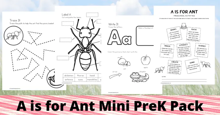 12 Free Ant Activities for Kindergarten