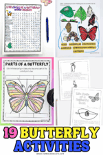 19 Butterfly Activities for Elementary Students