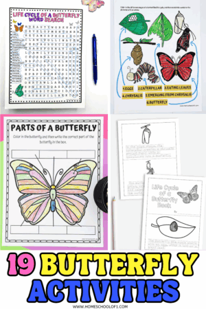 19 Butterfly Activities for Elementary Students