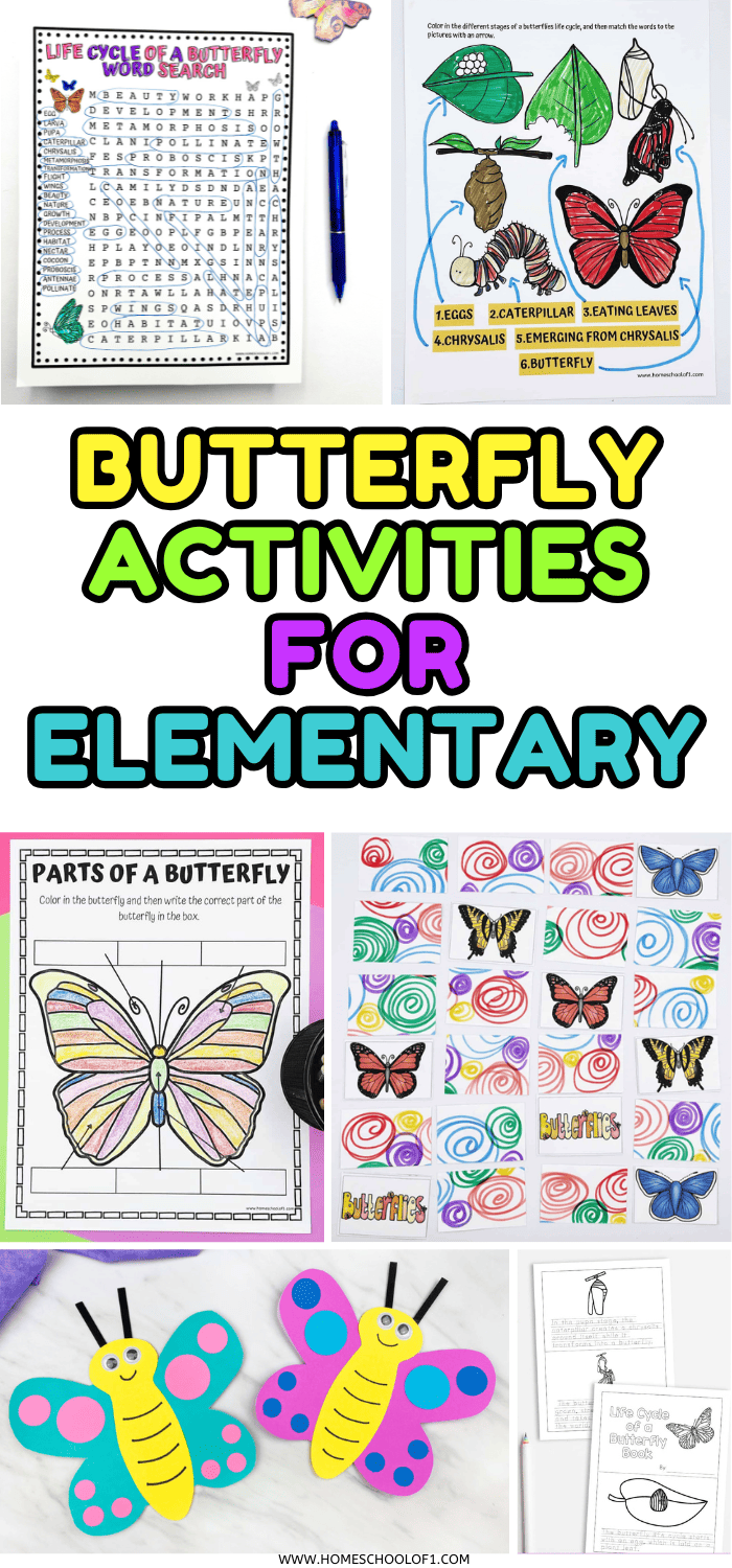 19 Butterfly Activities for Elementary Students
