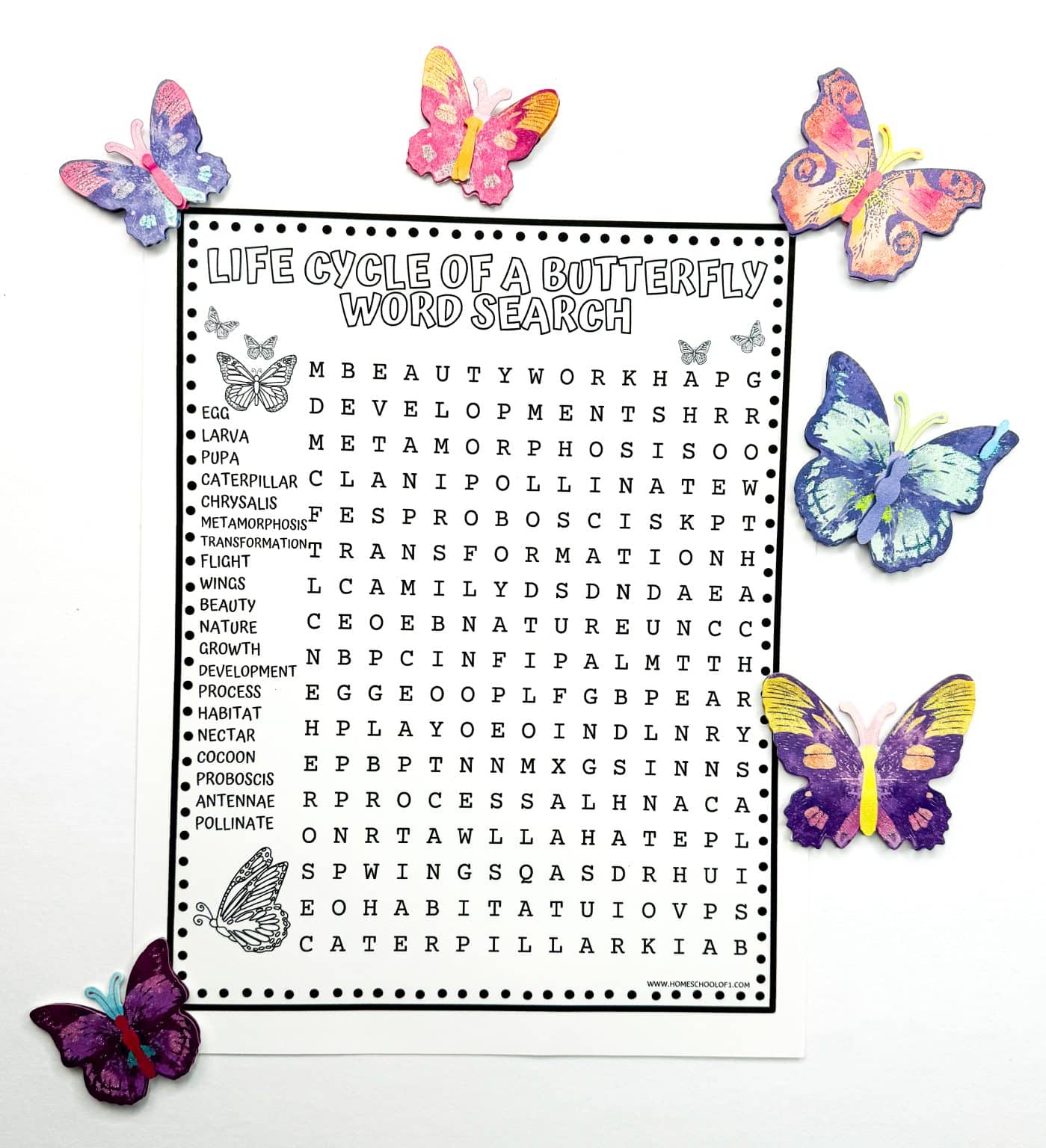 Free Butterfly Word Search Printable for Kids