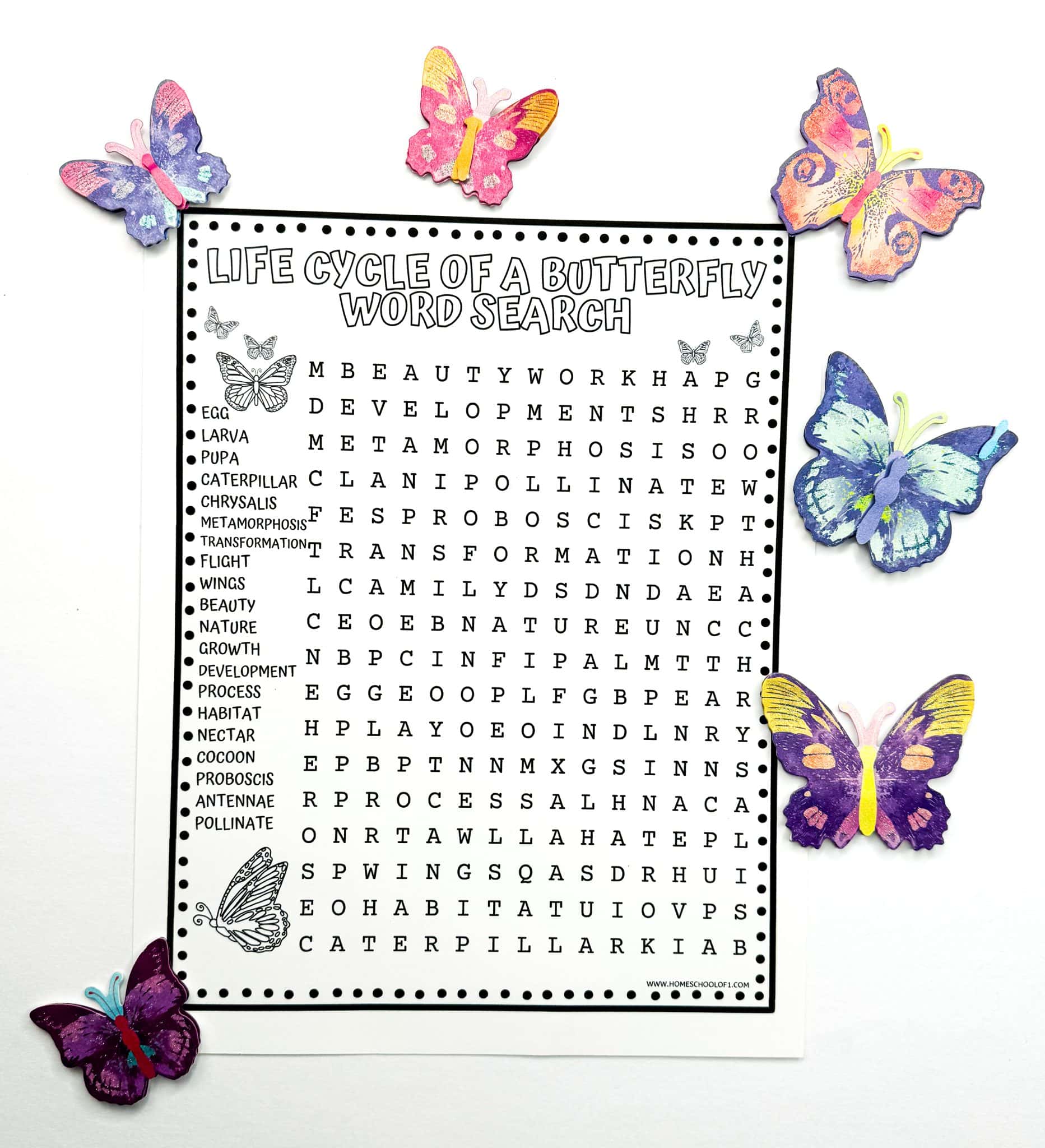 Free Butterfly Word Search Printable for Kids