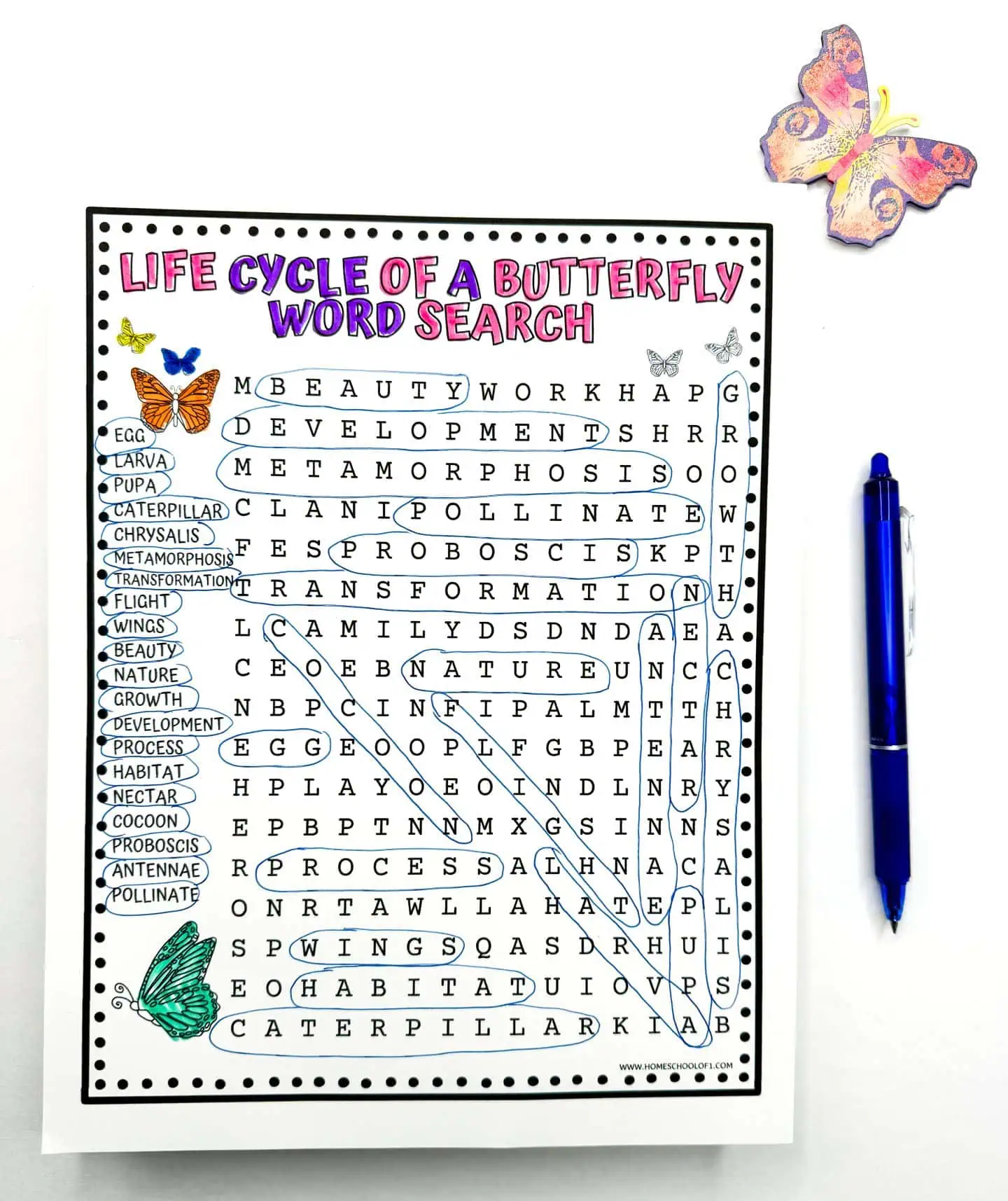 Free Butterfly Life Cycle Word Search Printable