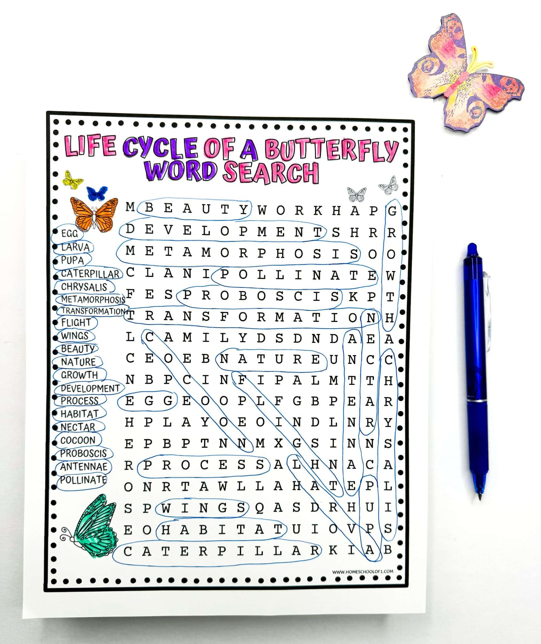 Free Butterfly Word Search Printable for Kids