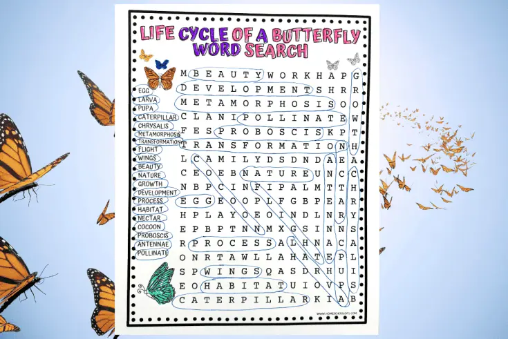 19 Butterfly Activities for Elementary Students
